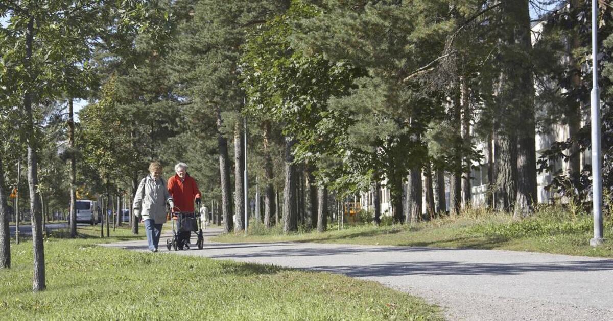 Onko iäkkäillä helsinkiläisillä auttajia? Pitkäaikainen hoitoapu ...